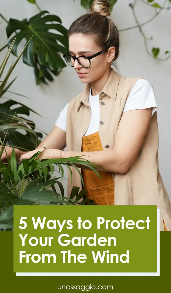 5 Ways to Protect Your Garden From The Wind | UnAssaggio