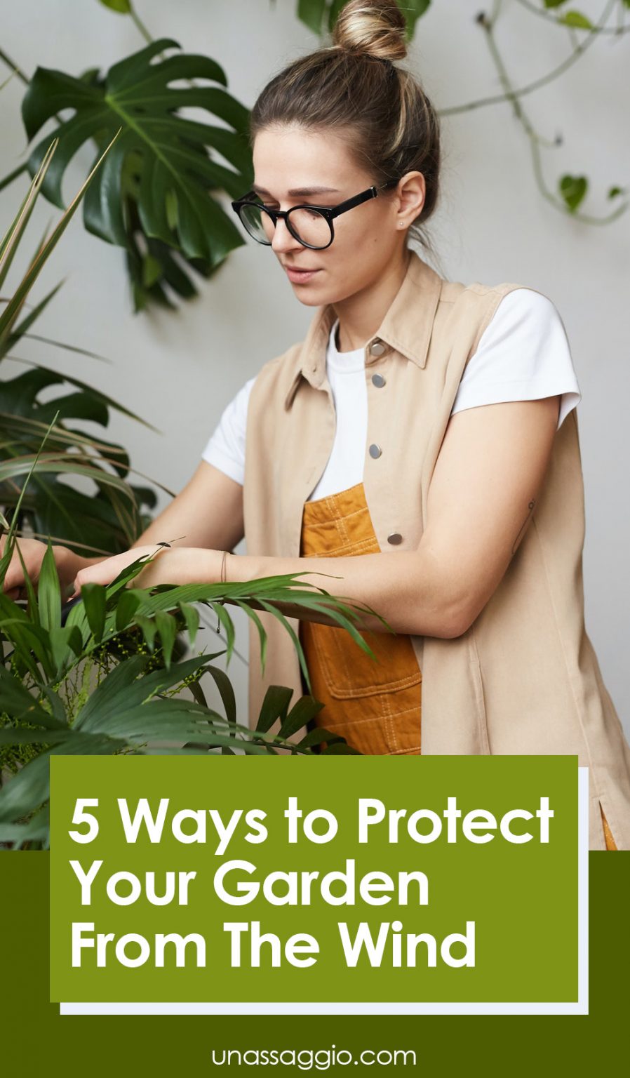 5 Ways to Protect Your Garden From The Wind | UnAssaggio