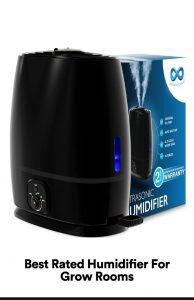 The Best Humidifiers For Grow Tent & Houseplants (2021) | UnAssaggio