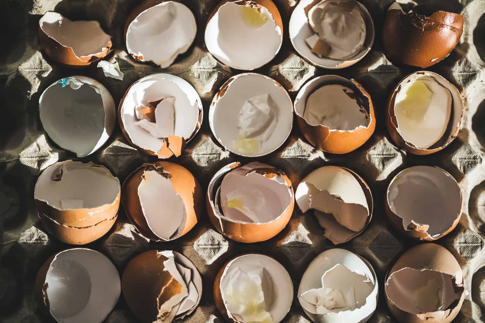 Are Eggshells Biodegradable? (11 Uses For Eggshells Around The Home ...